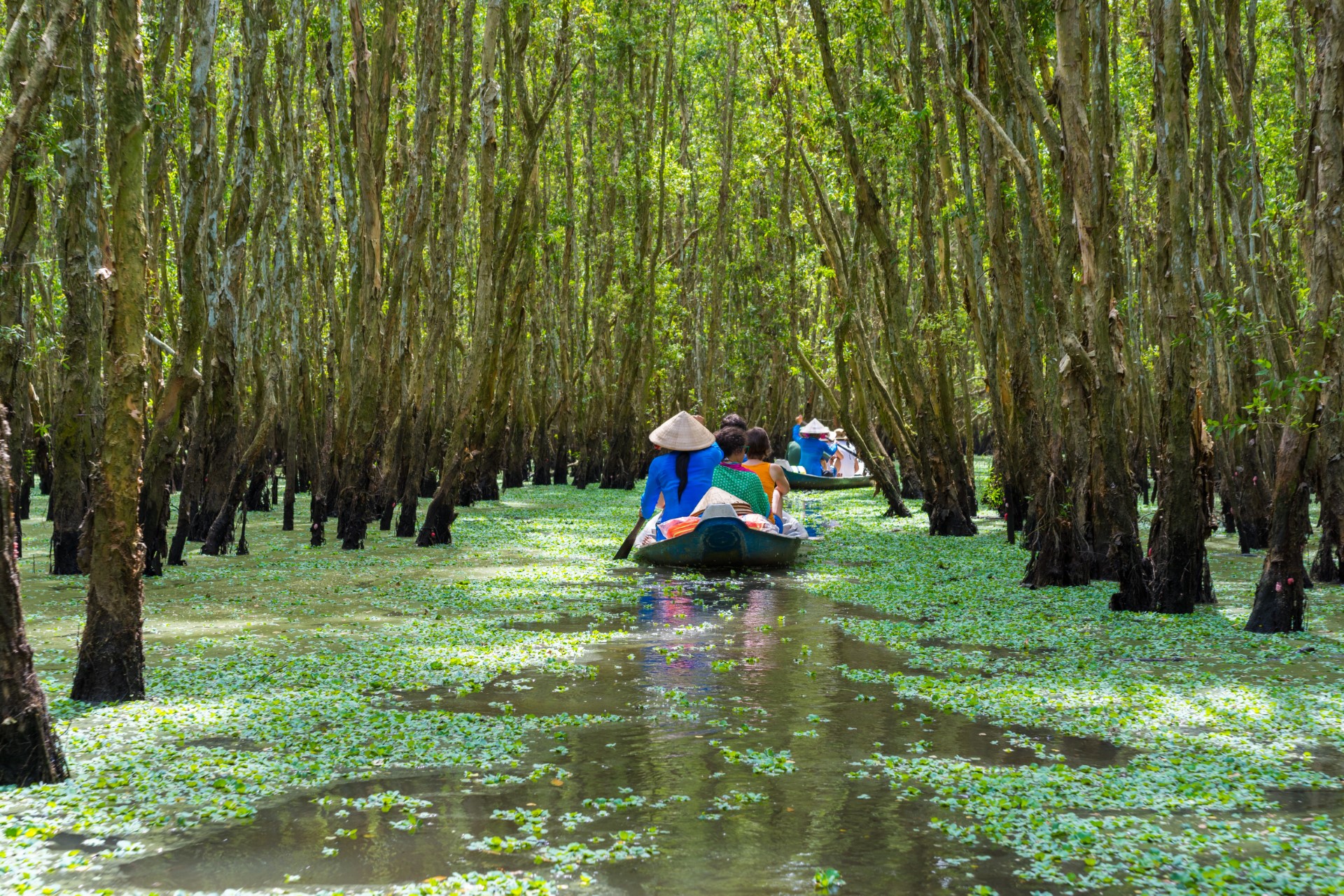 Mekong Delta - The Magic Of Asia